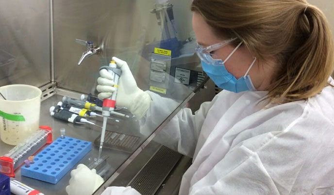 Viral sequencing catches mutations, guides effective public health ...
