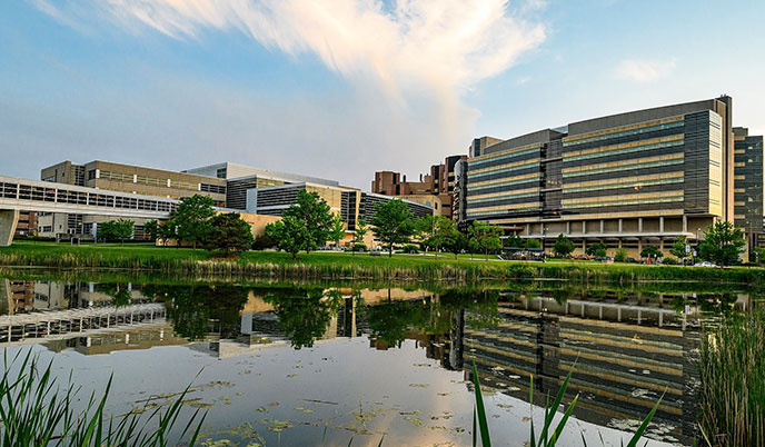 UW School of Medicine and Public Health faculty honored with university ...