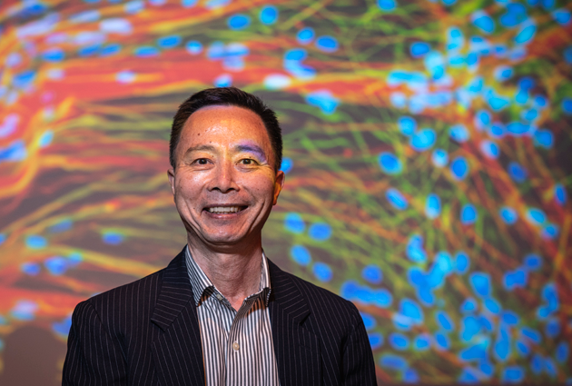 - Research - School of Medicine and Public Health